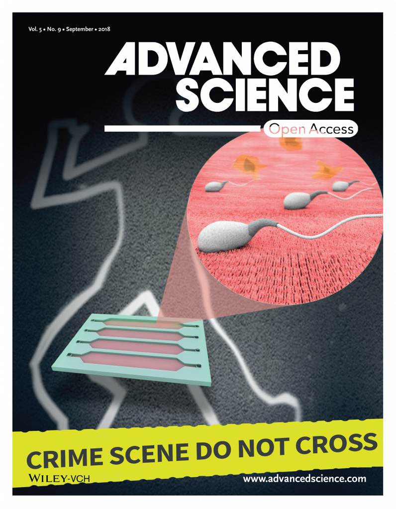 Publications – Incilab